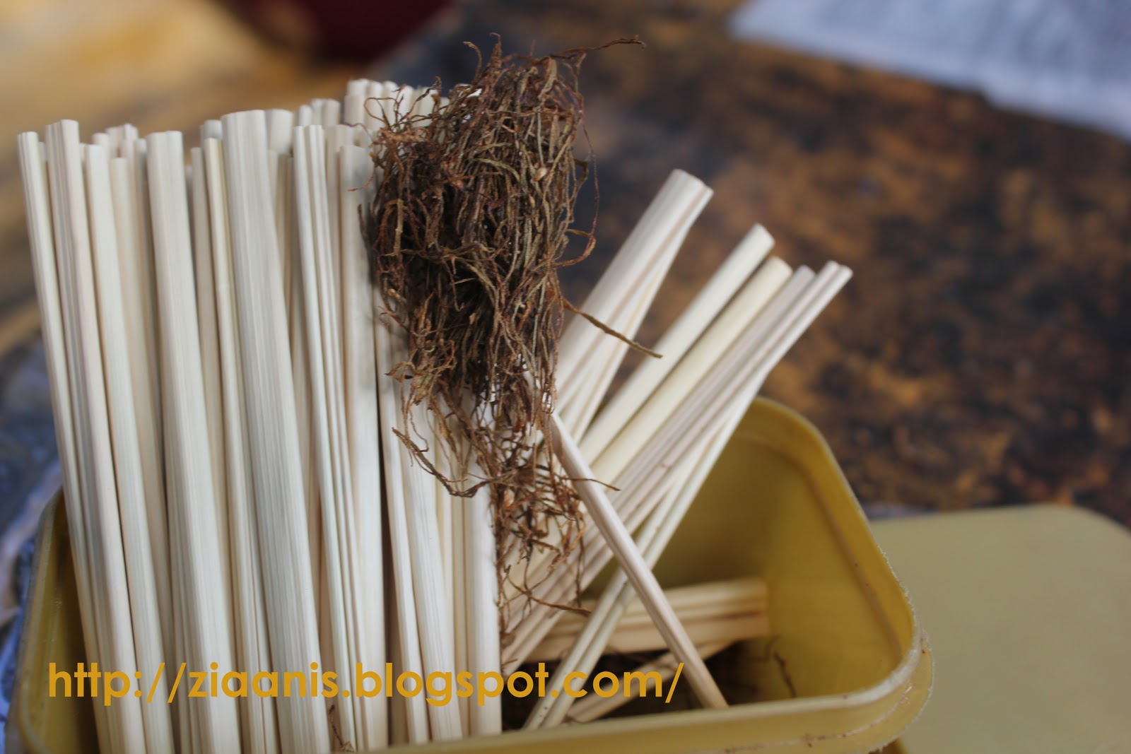 Zia Anis: Rokok daun