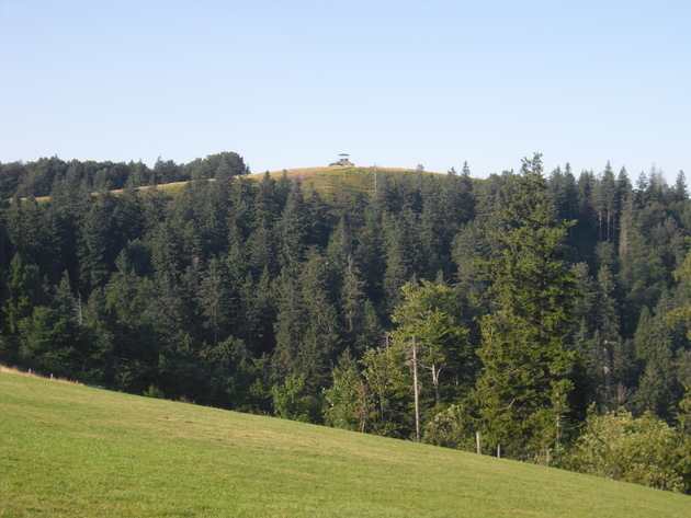 Der Schwarzwald und seine Natur: Kandel, der höchste Berg des Mittleren ...