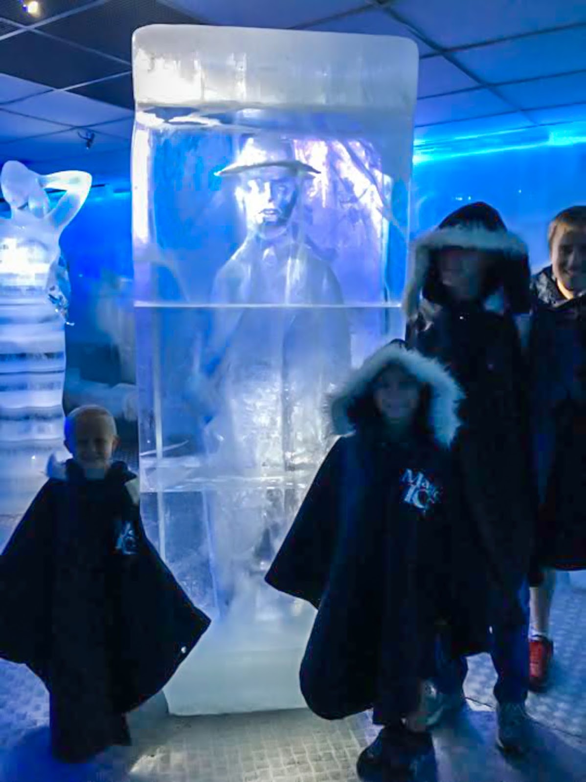 My Musings: Oslo, Norway: Magic Ice Bar