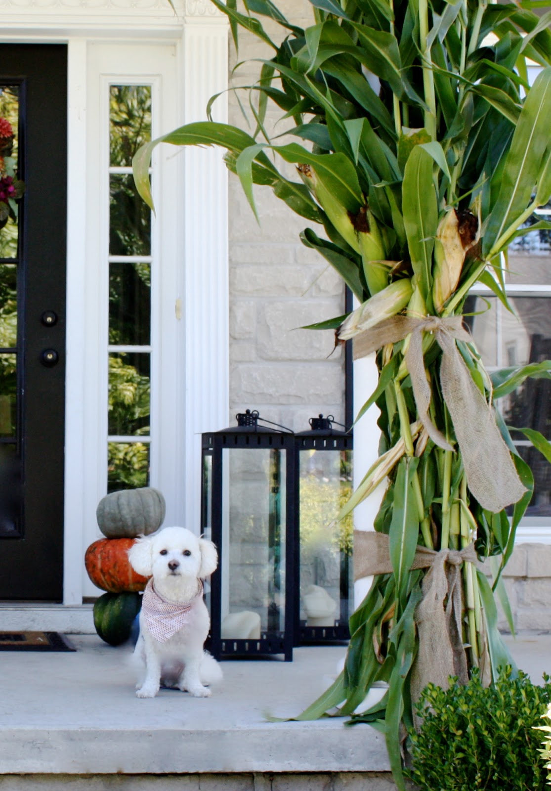 The Yellow Cape Cod: Our Fall Home~Finding Fall Home Tour With BHG