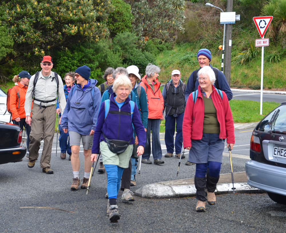 Wellington Daily Photo: #2084 ... A Senior Tramp