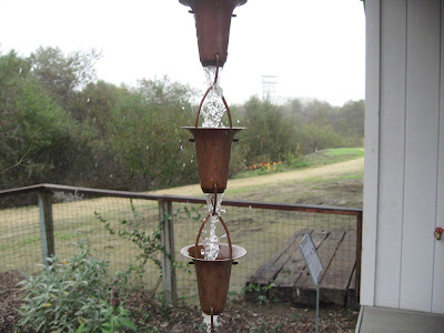 Mother Nature's Backyard - A Water-wise Garden: Harvesting Rain ...