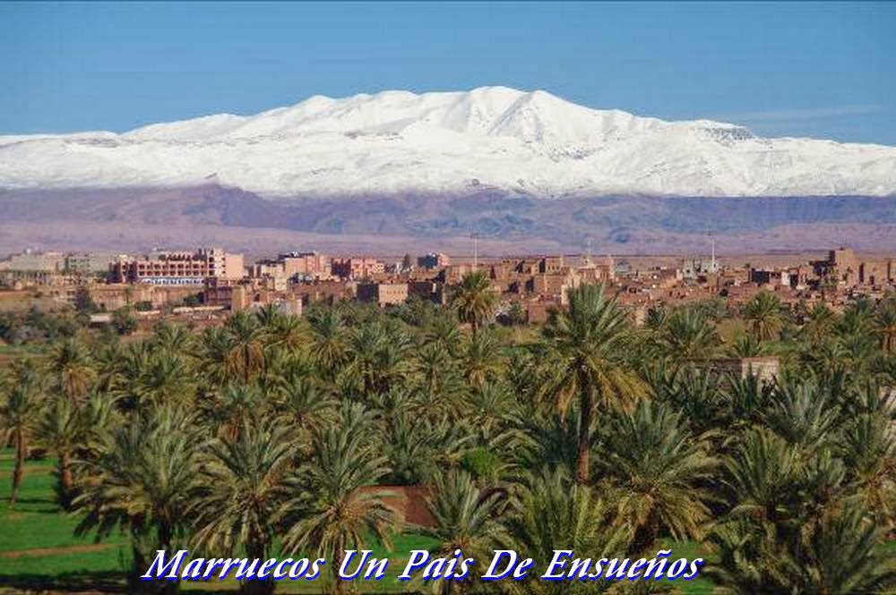 El Palmeral de Marrakech ~ test