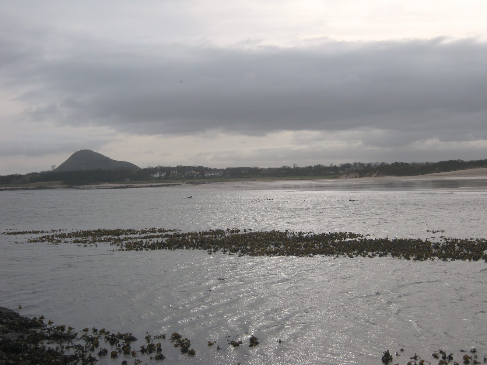 coastrider: Spring Tides Beach Rides...
