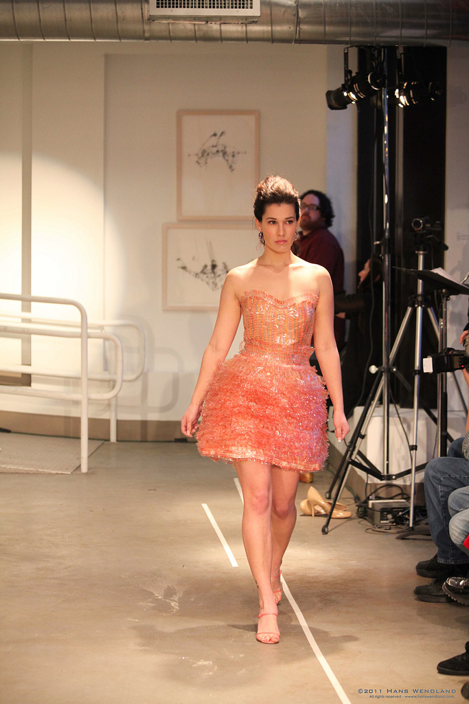 The 2011 Mobius Wearable Art Runway Show: June Monteiro [24]