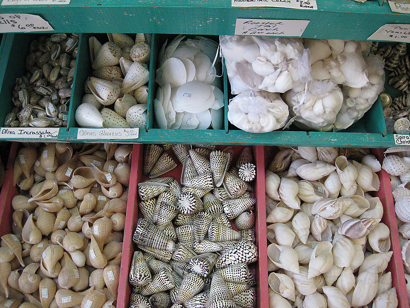 Sanibel Island - Lighthouse Beach and the Seashell Museum