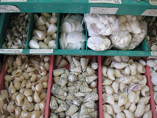 Sanibel Island - Lighthouse Beach and the Seashell Museum