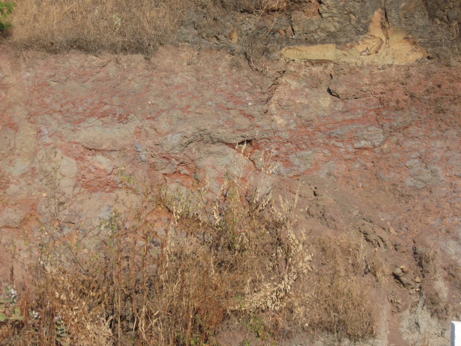 Rapid Uplift: February 2012