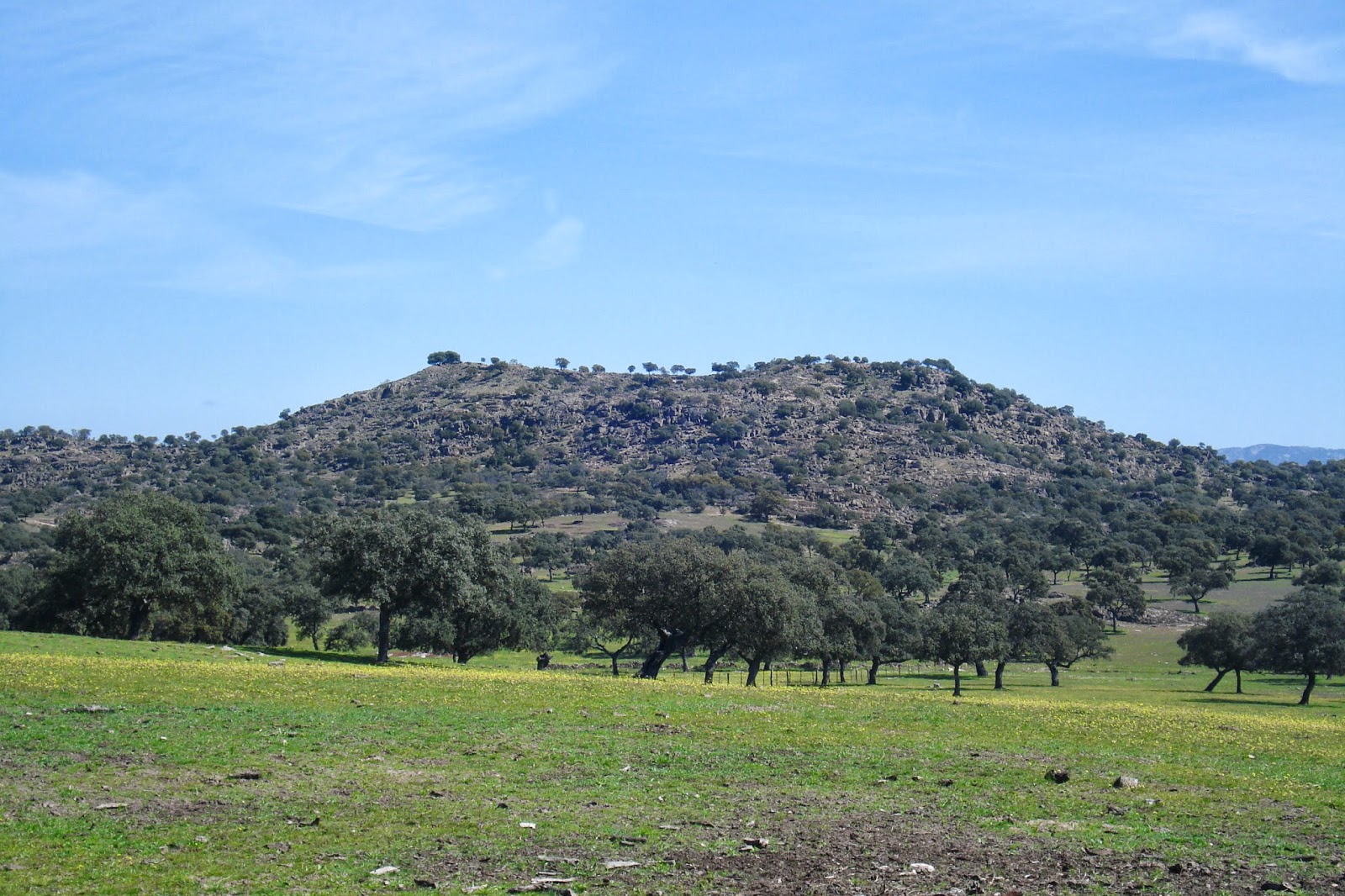 Crónica de Torrecampo: Torrecampo en ruta: Castillo Almogávar