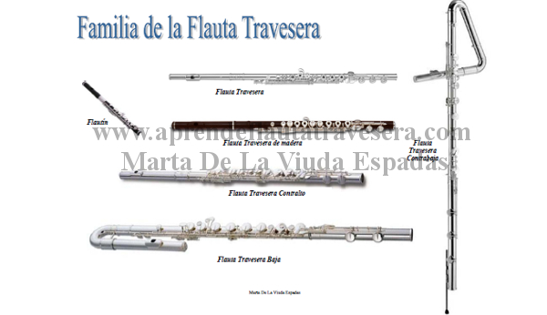 Aprende Flauta Travesera: La Familia de la Flauta Travesera