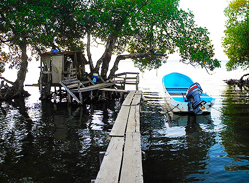 My Roatan - Adventures in Creating Nirvana: touring punta gorda