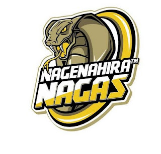 Sri Lanka Premier League(SLPL) Team Names and Logo's ~ Crick Source