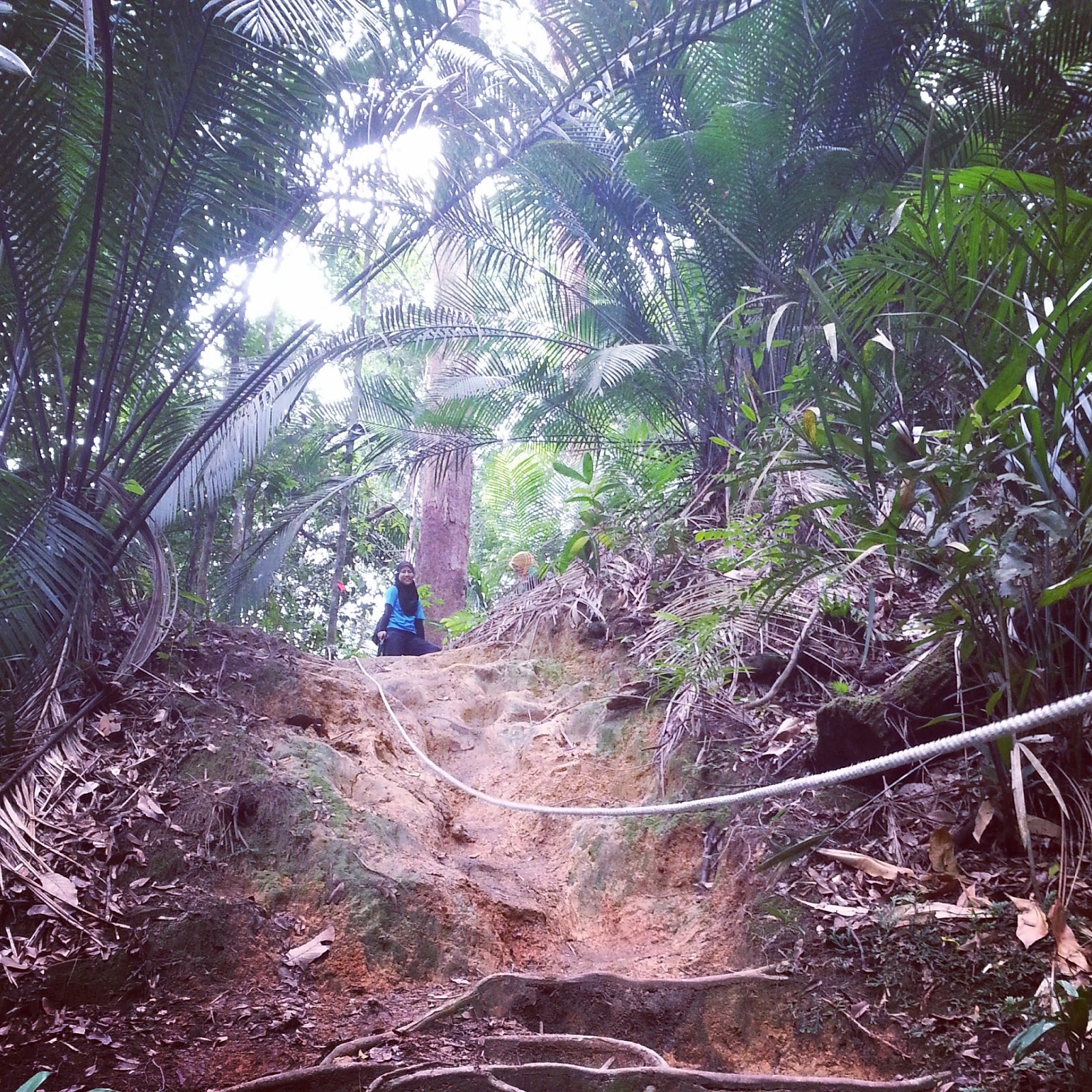 Air Terjun Sungai Putih Bukit Saga / Saga Hill