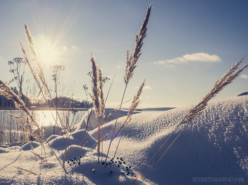 It's winter time.