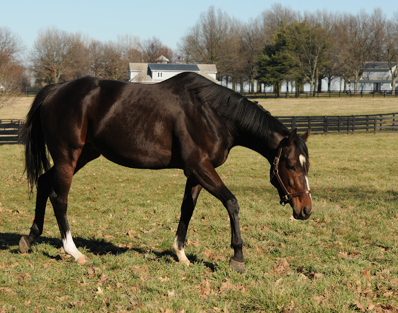 Two Minute Lick: Remembering Mighty Rachel