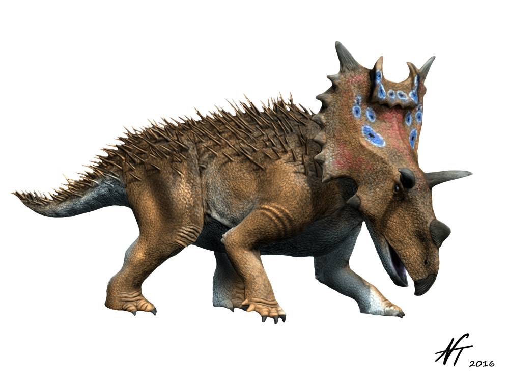 Spiclypeus - Alchetron, The Free Social Encyclopedia