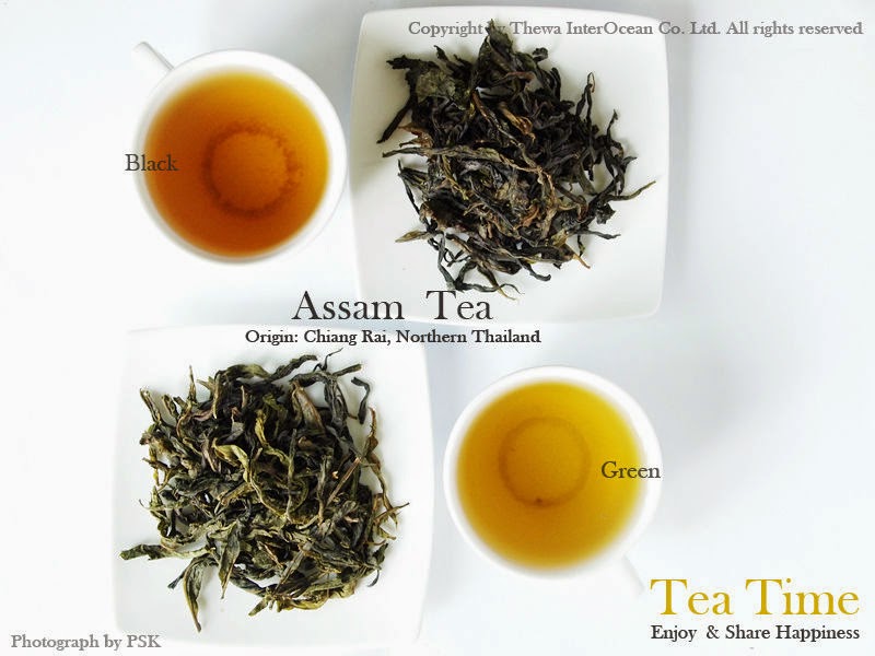 Assam Tea Benefits ~ Healthy Tea 101