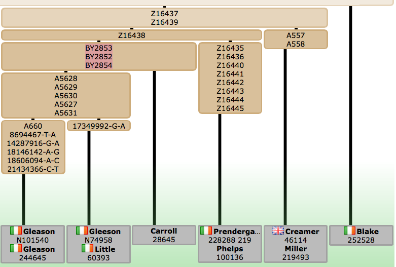 DNA and Family Tree Research: Chromosomes, Markers & Evolutionary Trees