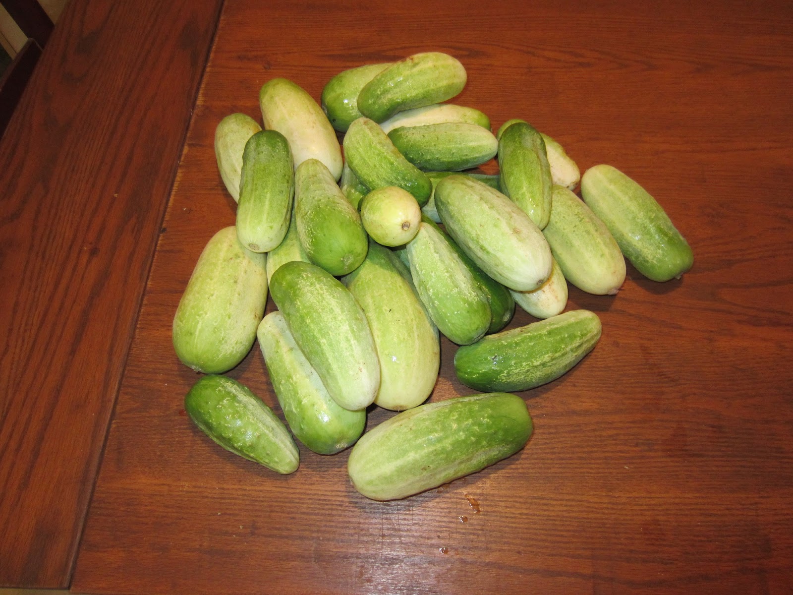 My Little Life in the Country: Pickles!!