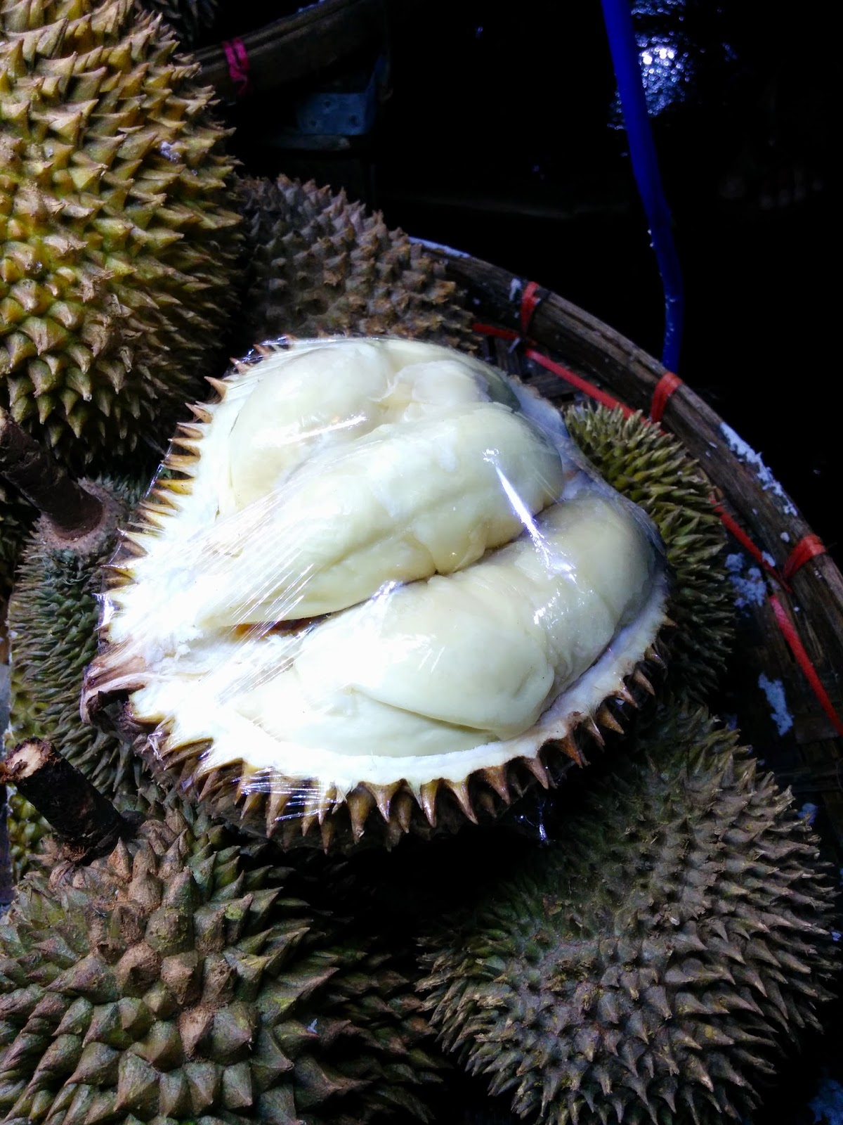 Durian Info: Durian Seasons In Durian Production Areas