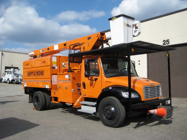 Davey Tree Service | Tree Service