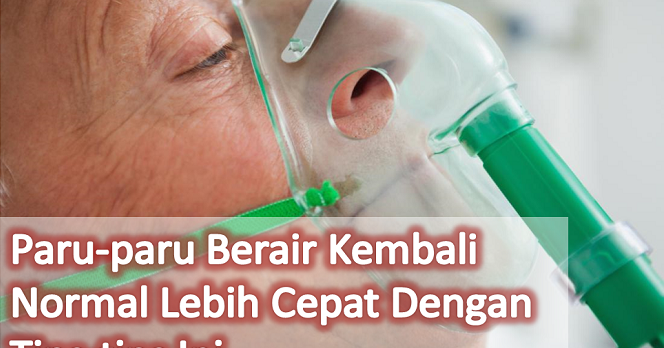 MY Health Venture: Paru-Paru Berair Kembali Normal Lebih Cepat Dengan ...