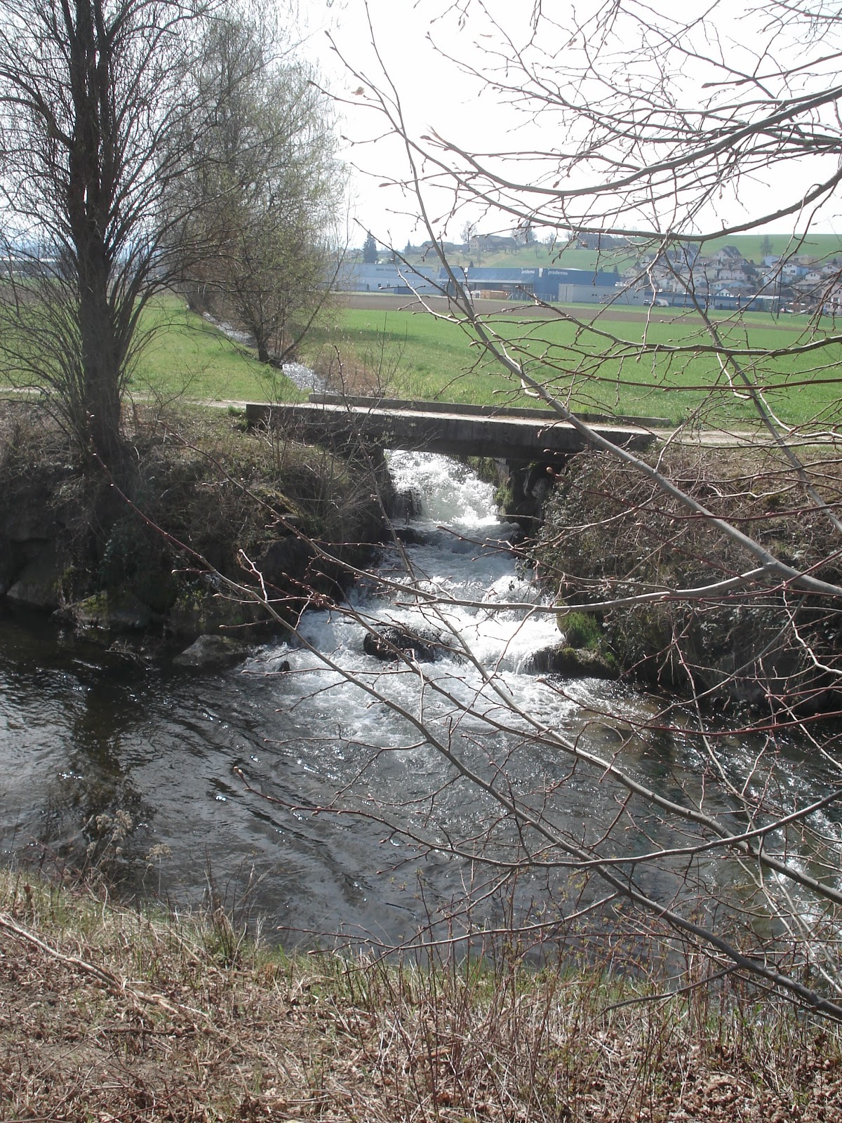 Heimatvereinigung Wiggertal: Fotogalerie: Von Willisau nach Zofingen ...