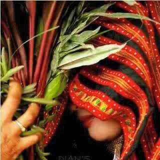 motif kerawang Gayo: Motif Kerawang Gayo