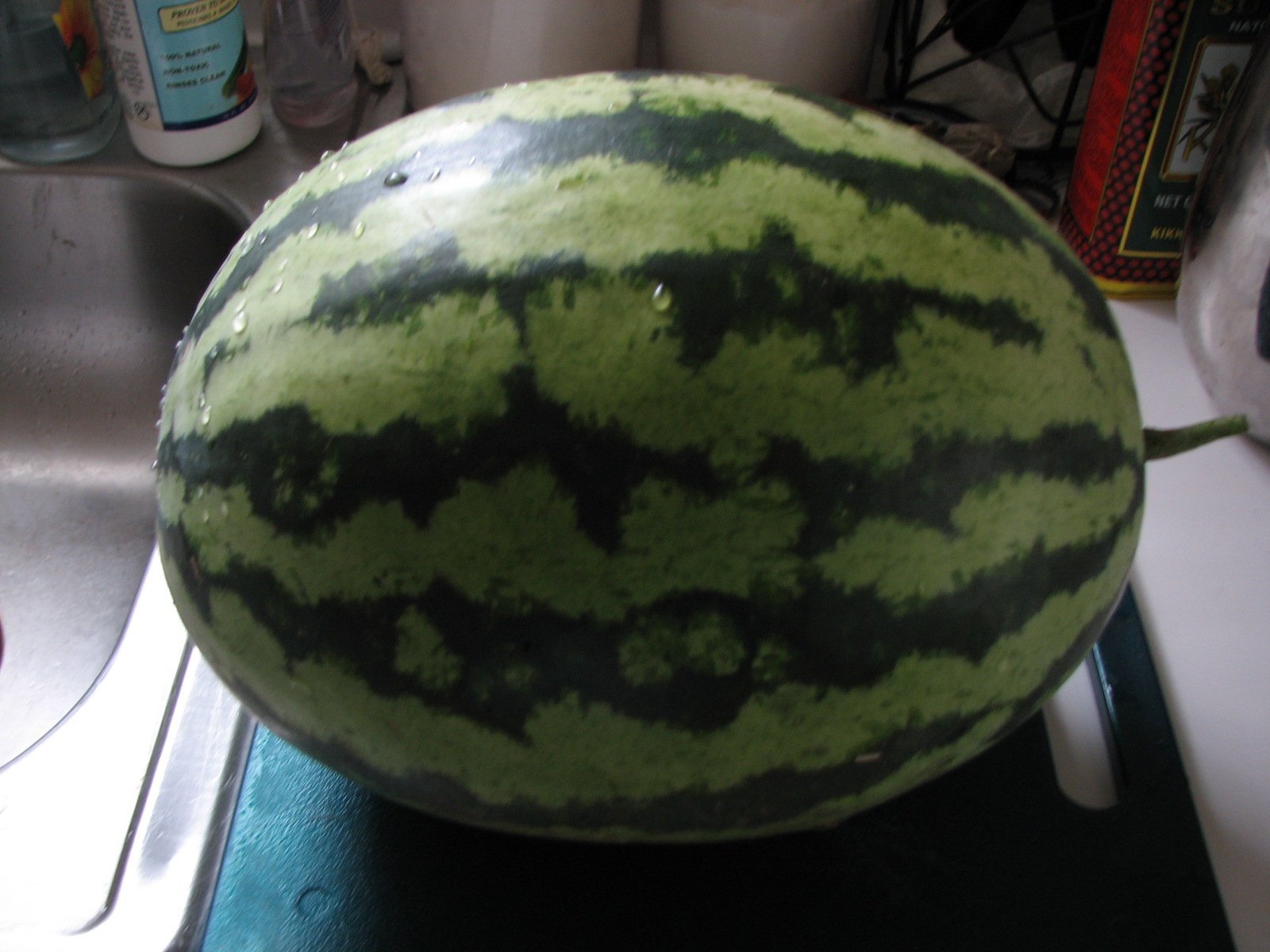 You 'N' Jo: Desert King Watermelon
