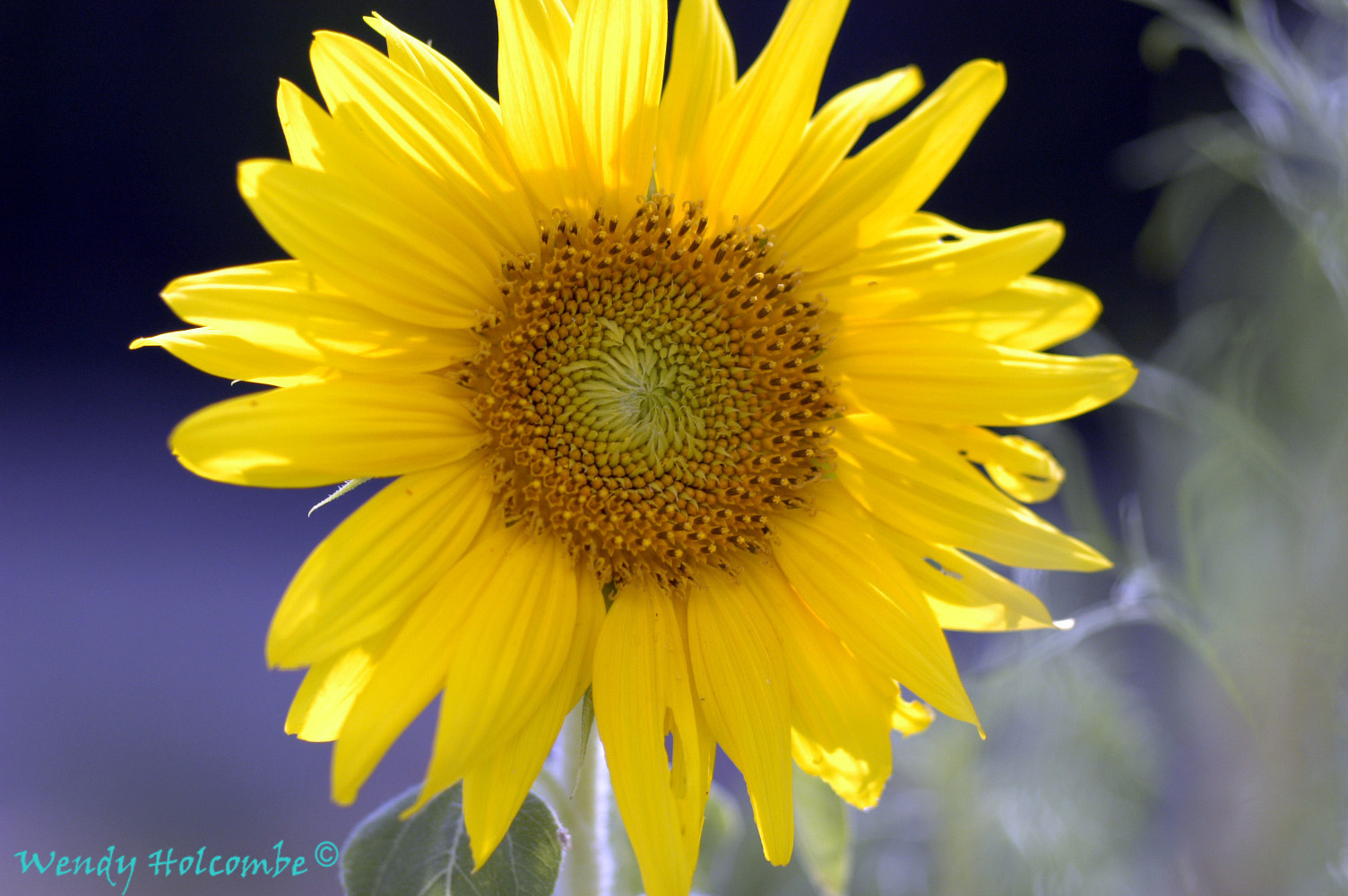 Create To Heal To My Husband create-to-heal-to-my-husband