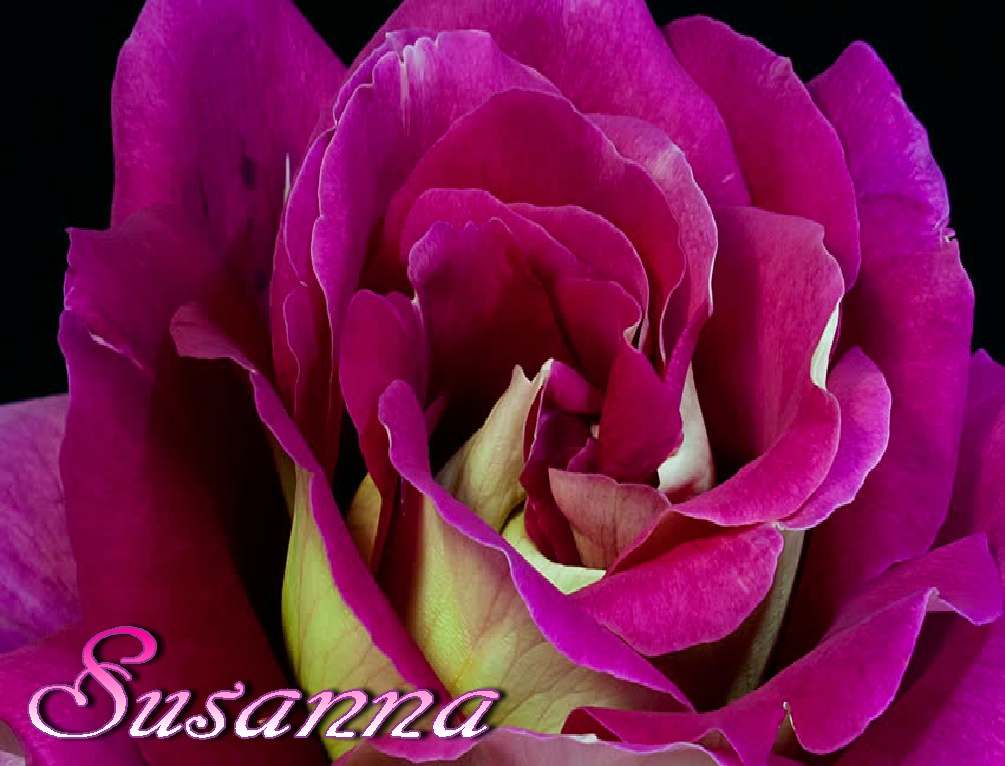Susanna