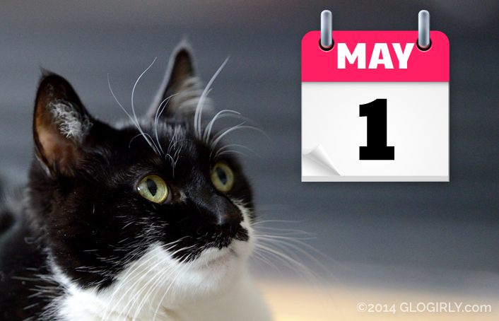 GLOGIRLY: MAYDAY! MAYDAY! ...Um, What's a MayDay???