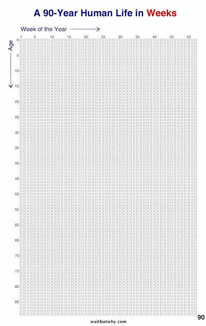 Bucket-List Blues: A 90-Year Human Life in Weeks - At a Glance