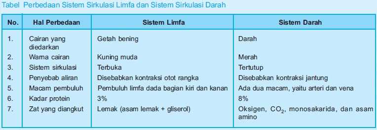 Hadijah Menulis: KELENJAR LIMFE