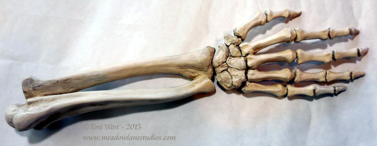 Creative Paperclay® air dry modeling material: "Handy" Halloween ...