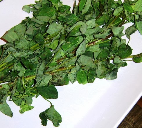 D.s: Chepil o chipilin