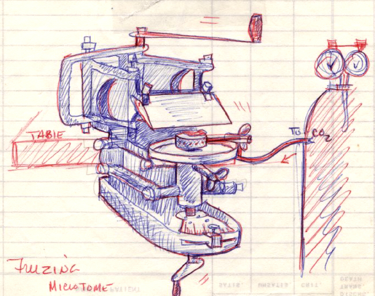 Just a Little Old Art of Mine!