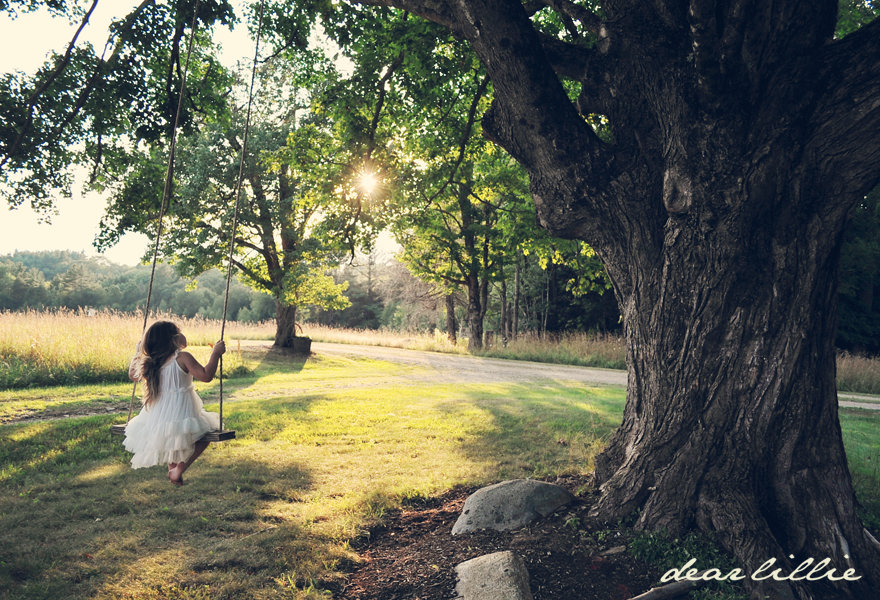 The Tree Swing and Photography Questions - Dear Lillie Studio