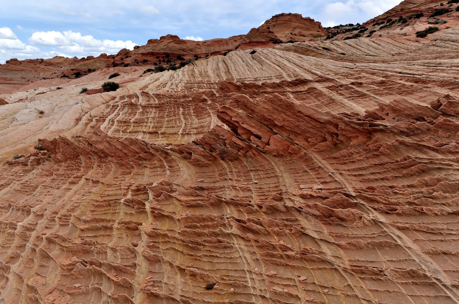 Les voyages de Michèle et Jean-Michel: West Clark Bench - Maze Rock Art ...