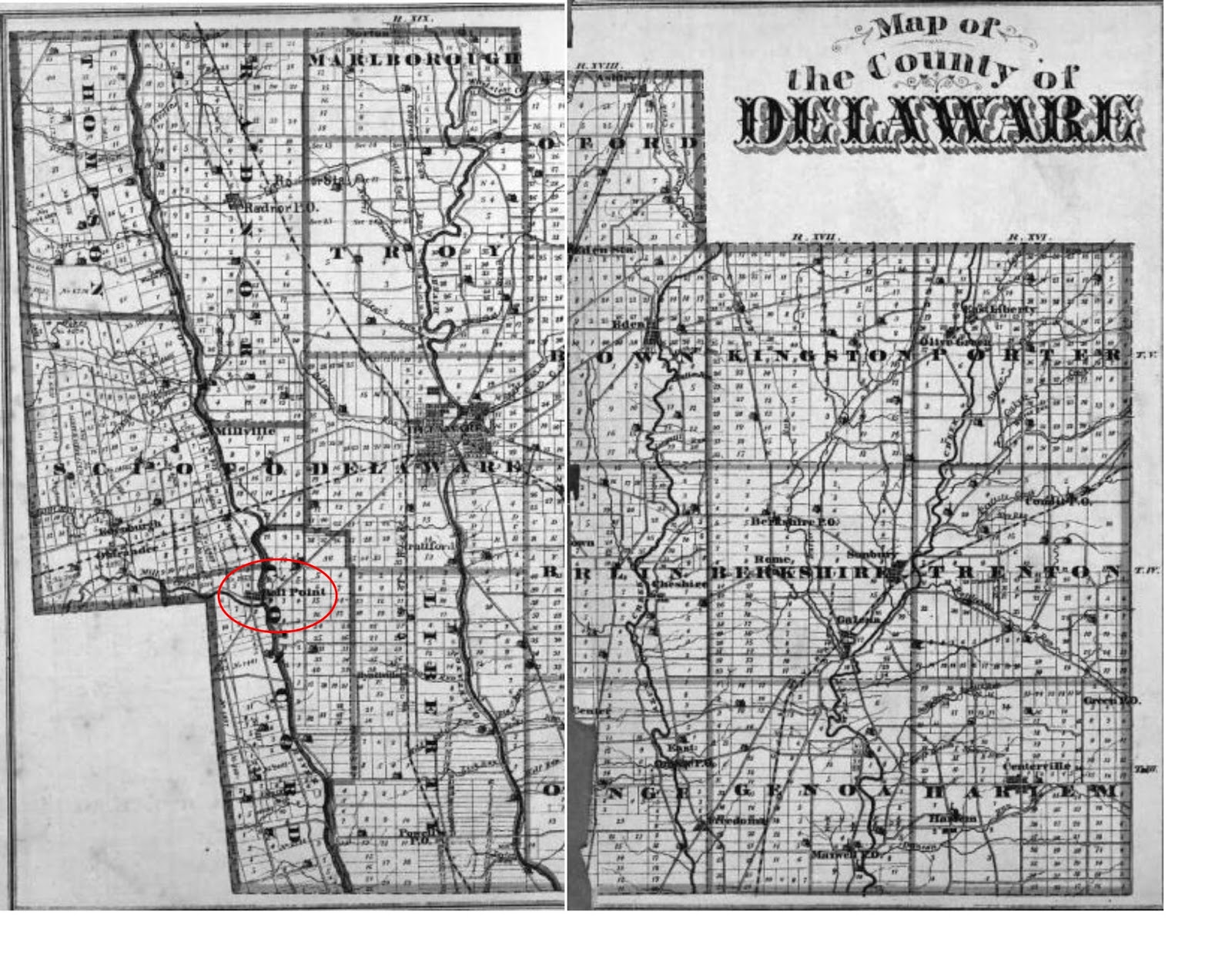 Patrickswell Brownes: It looked like home!