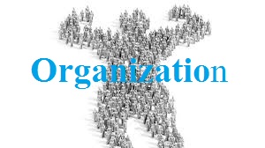 What is Organization? | Business Consi