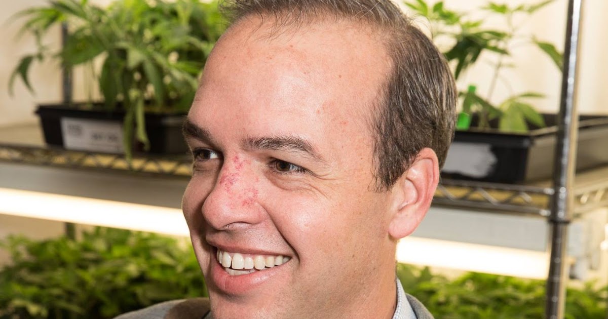 David Downs - Journalist