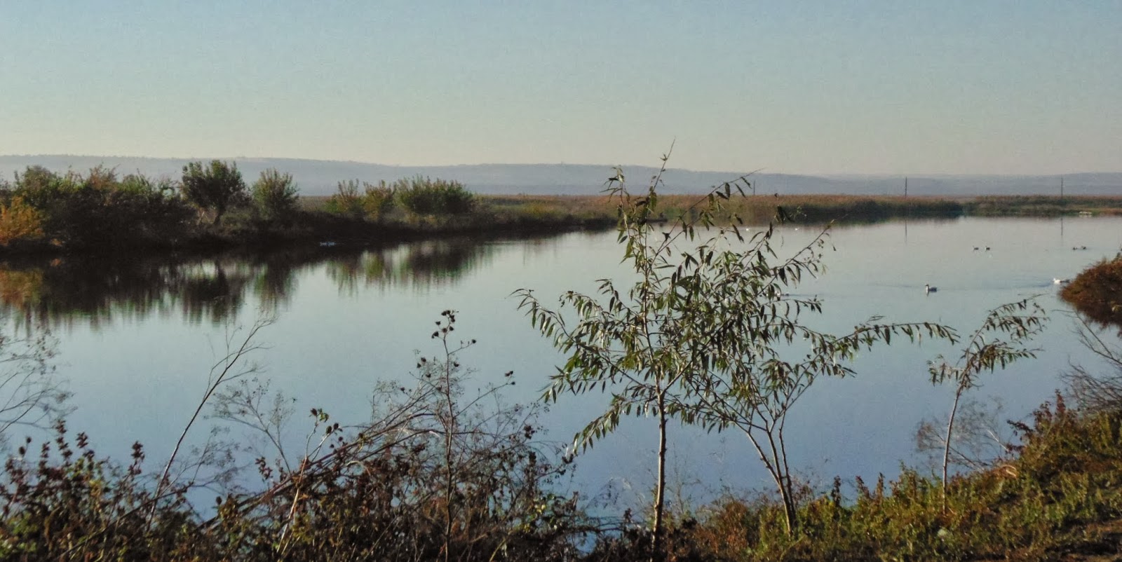 IMPRESII DESPRE MAREA EXPEDITIE IN SUDUL ROMANIEI ~ ASOCIATIA ...