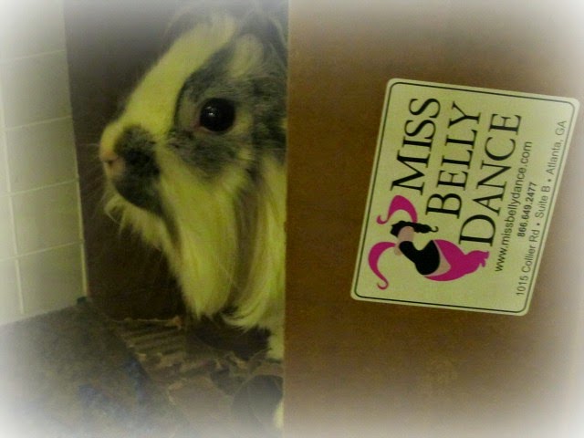 Tales from The Raspberry Rabbits: Love Grows...