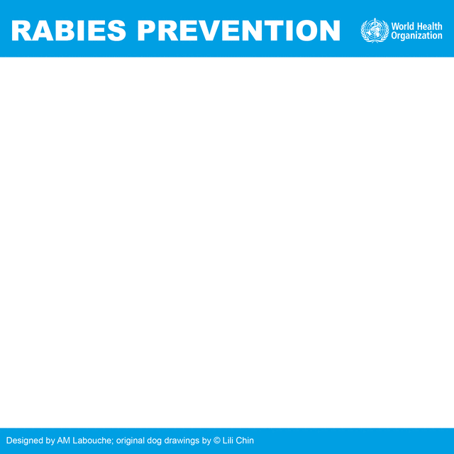 Health Observation: Rabies Awareness