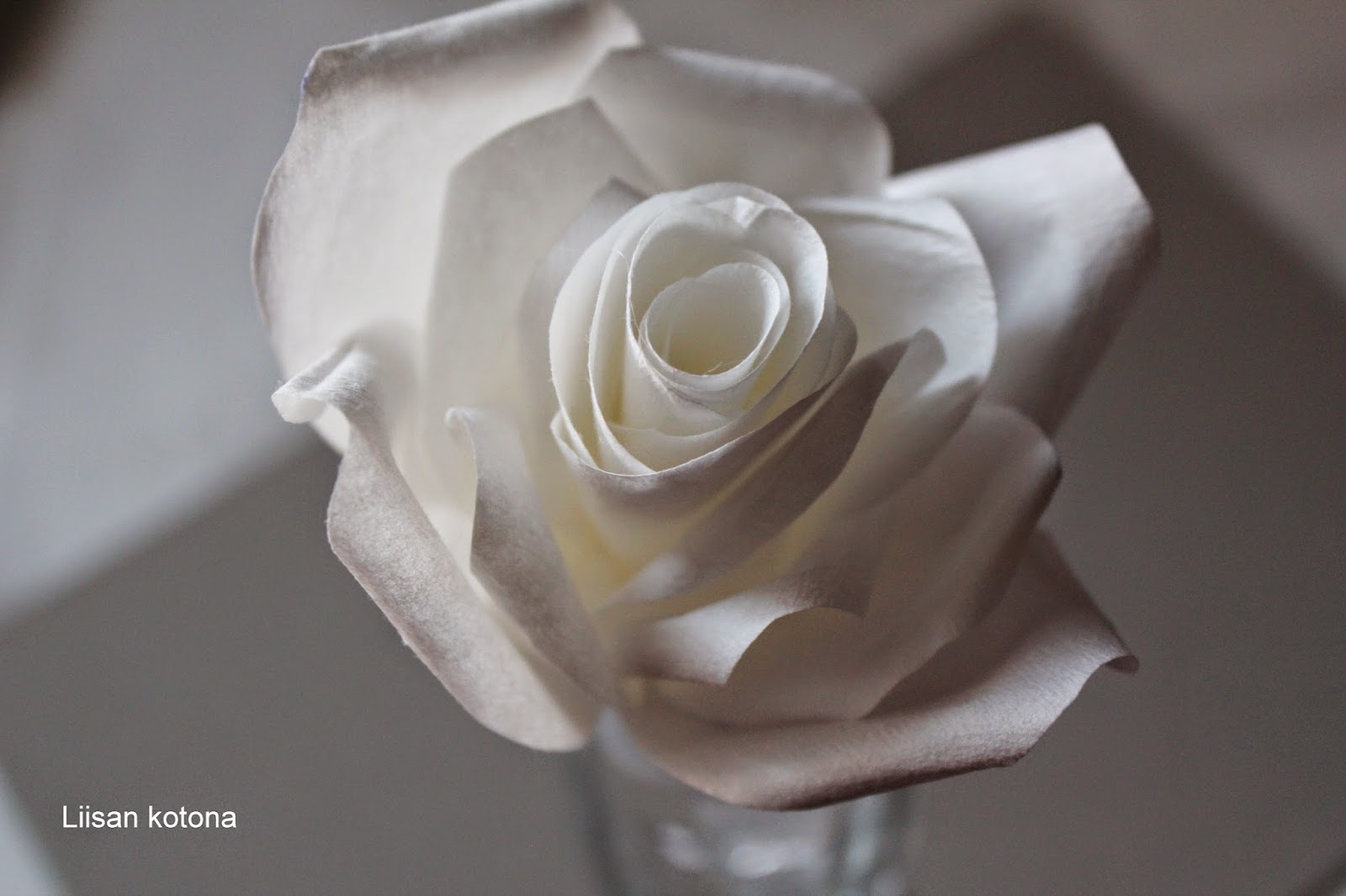 Liisan kotona: DIY miljoona, miljoona ruusua