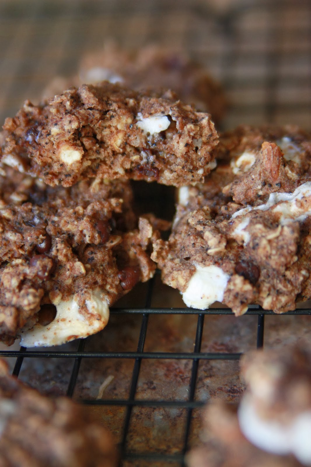 Garbage Disposal Cookie Recipe