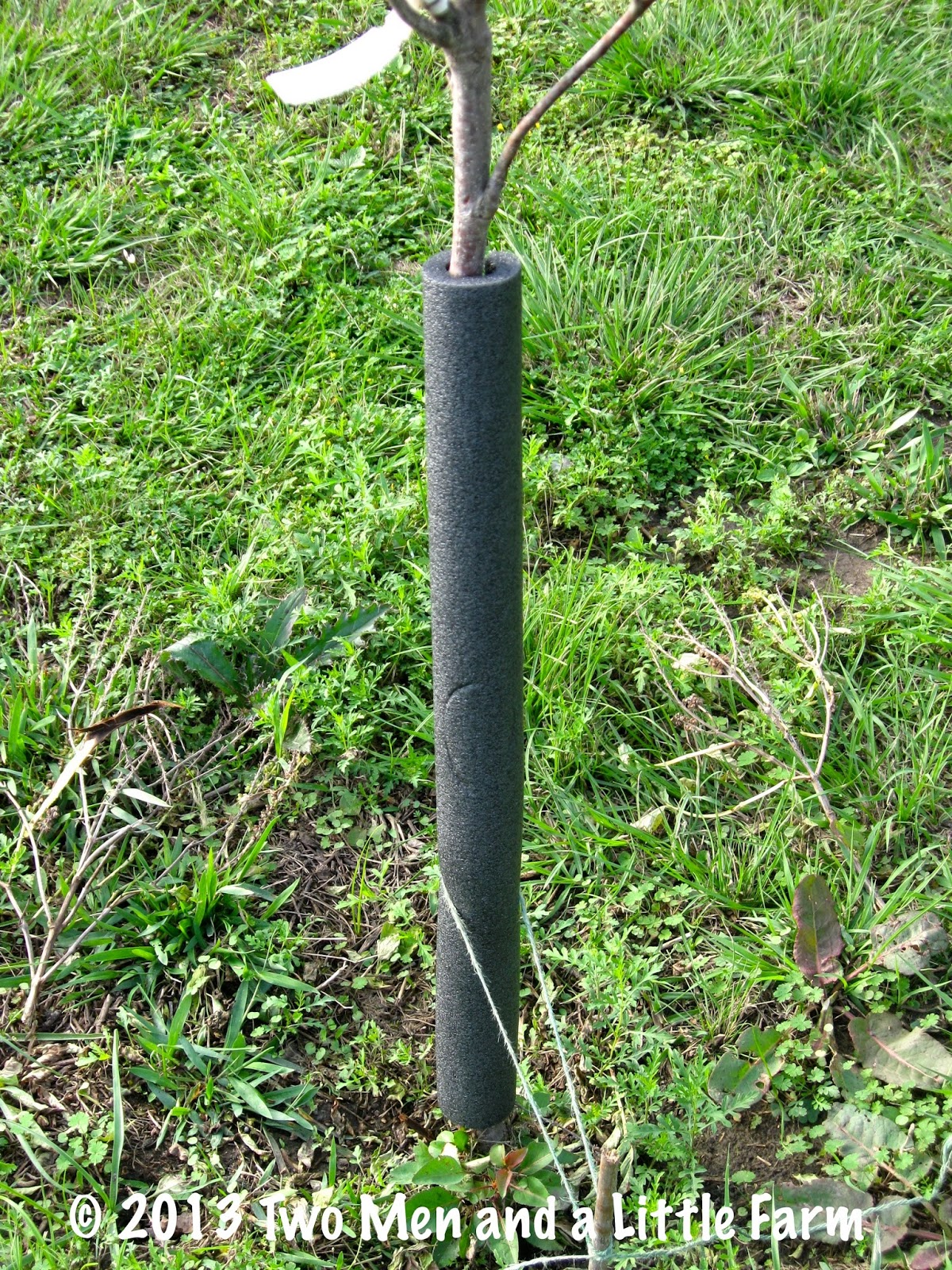 Two Men and a Little Farm: November 2013