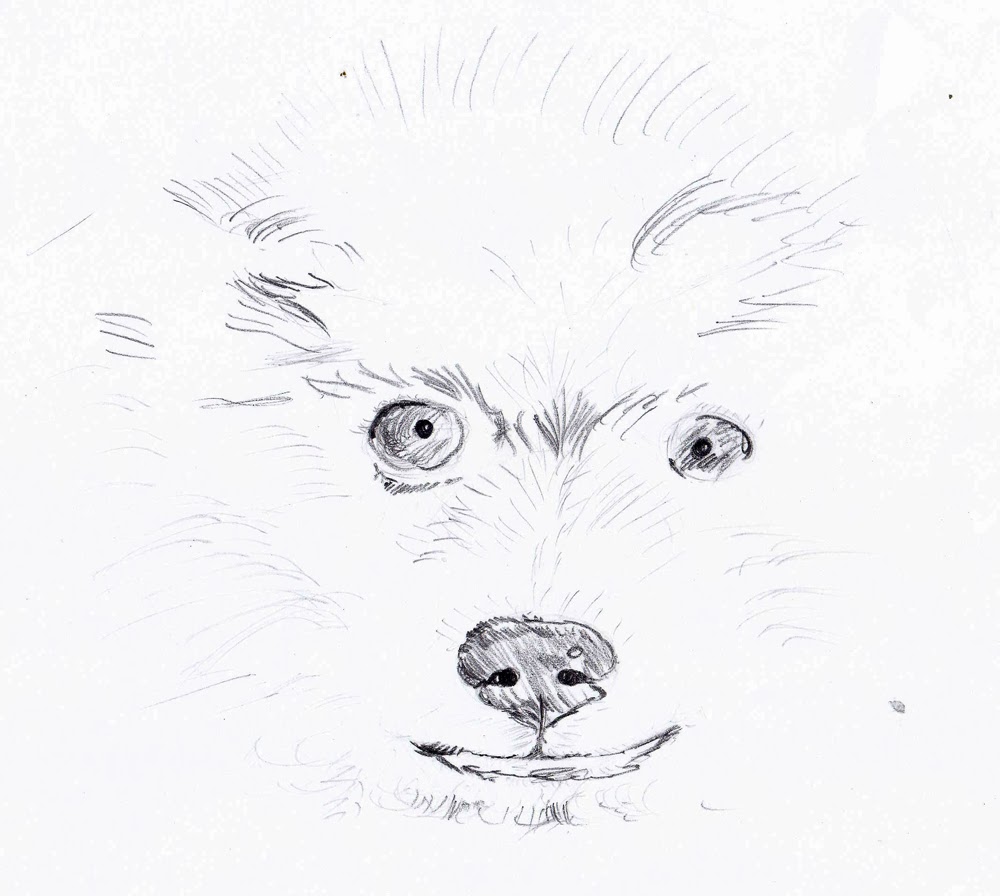 Weekly : Doodles and tuts: Drawspace lesson I01: how to draw a fluffy ...