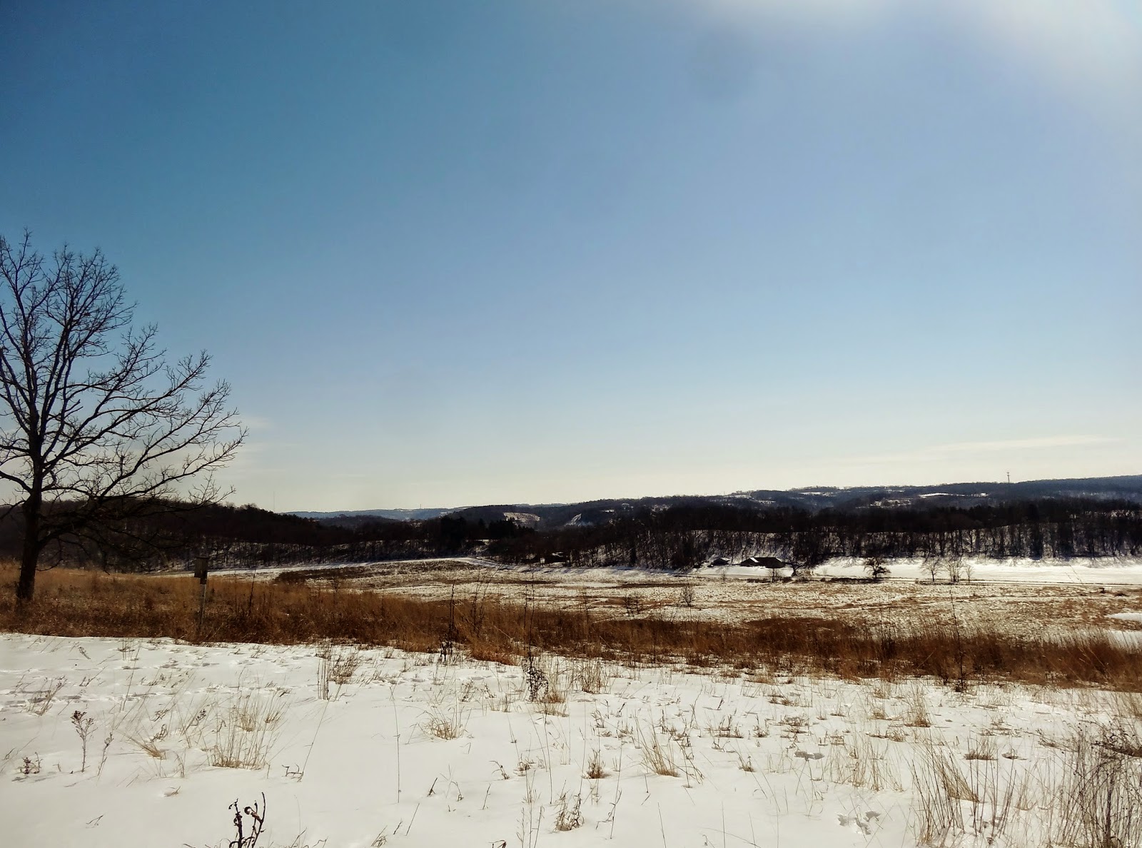 Mama's Basecamp: March Hike on the Cross Plains and Table Bluff ...